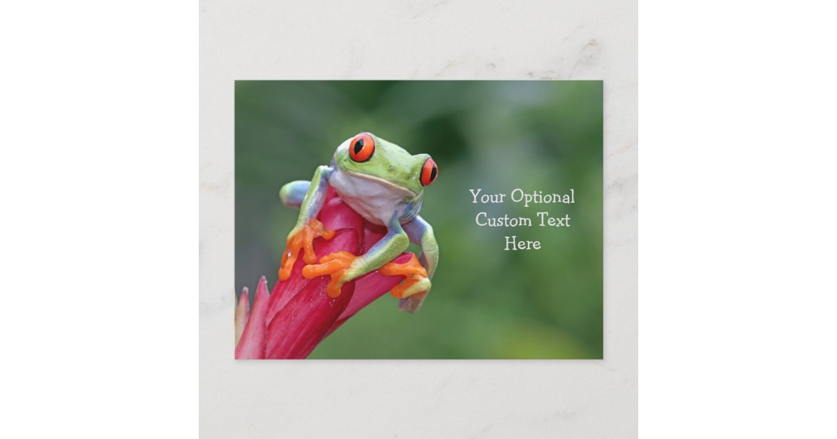 Custom Text Frog Postcard | Zazzle
