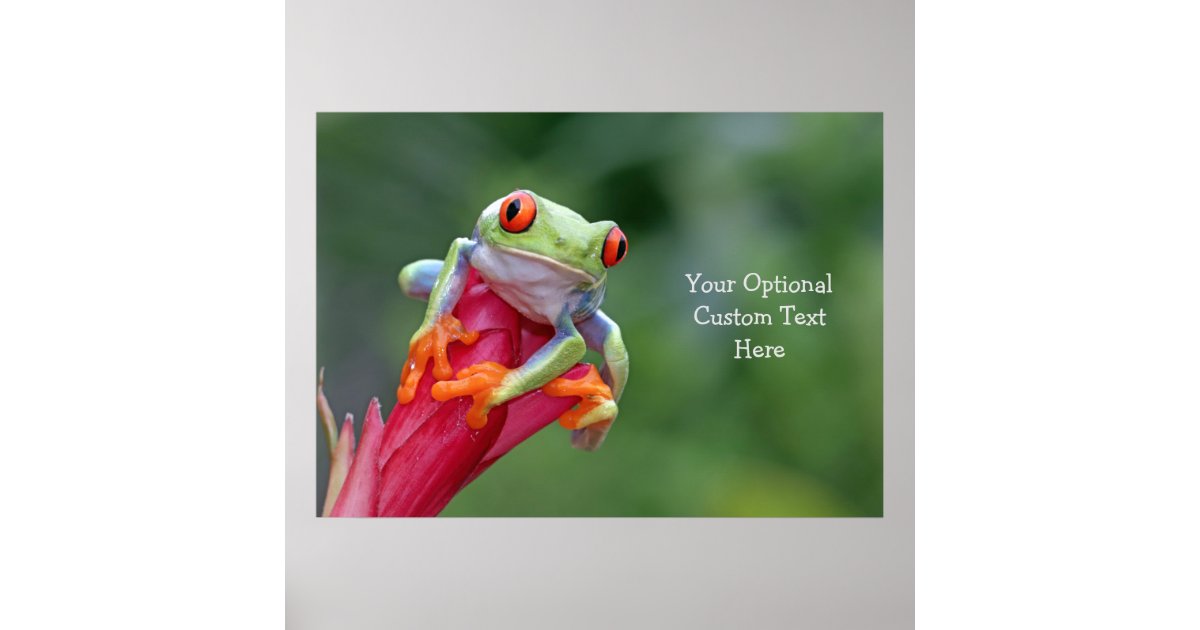 Custom Text Frog Poster | Zazzle