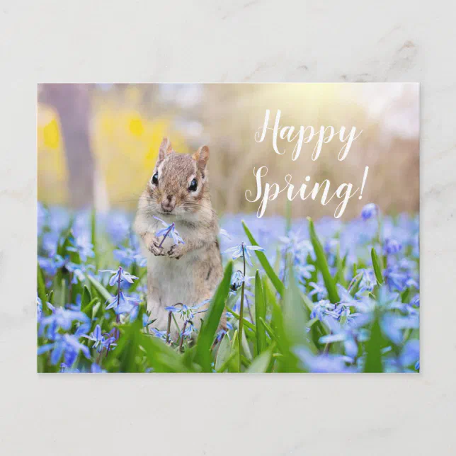 Custom Text Squirrel in Wildflowers Happy Spring Postcard | Zazzle