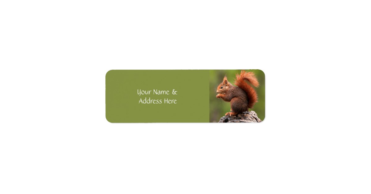 Custom Text Squirrel Label | Zazzle