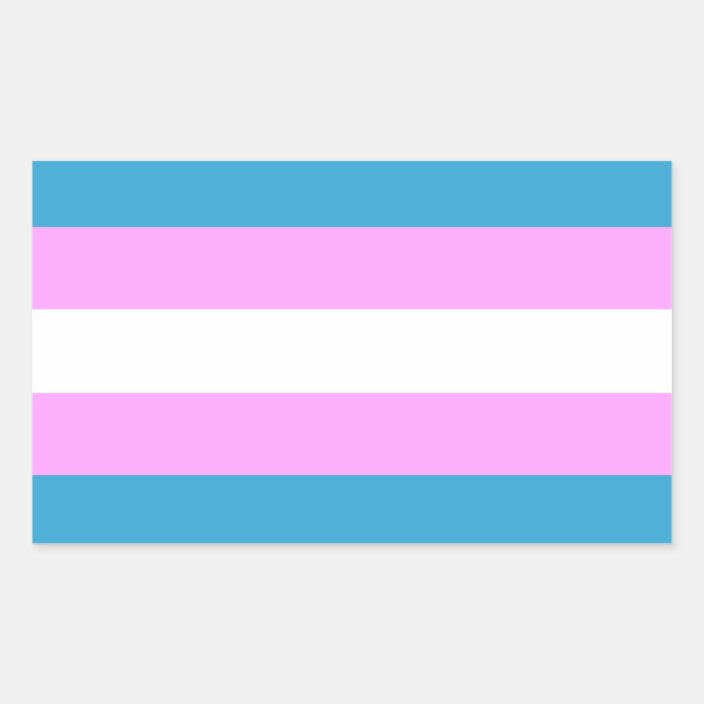 Custom Trans Flag Rectangular Sticker | Zazzle.com