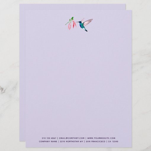 Custom Violetear Hummingbird Letterhead | Zazzle