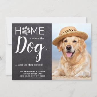 Custom Weve Moved New Address Dog Photo Pet Moving Announcement | Zazzle