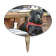 Customizable Black Labrador Retriever Cake Topper | Zazzle