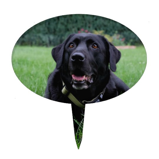 Customizable Black Labrador Retriever Cake Topper | Zazzle.com
