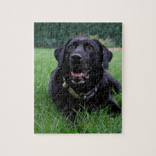 Customizable Black Labrador Retriever Jigsaw Puzzle | Zazzle.com