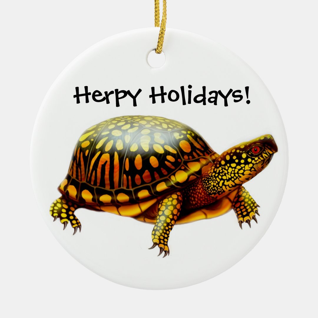 Customizable Box Turtle Holiday Ornament | Zazzle