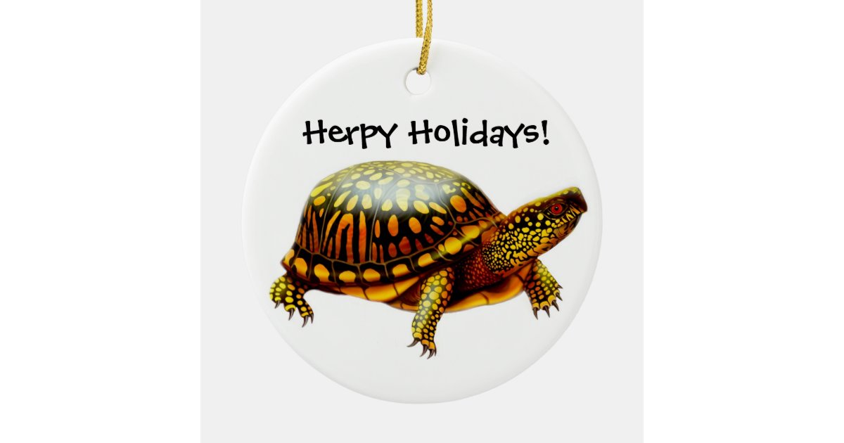 Customizable Box Turtle Holiday Ornament | Zazzle