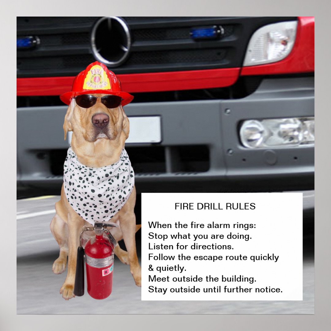 Customizable Fire Drill Poster | Zazzle