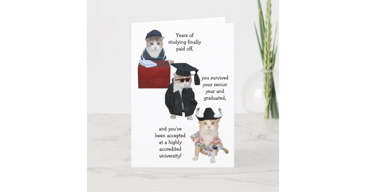 Customizable Funny Cat High School Graduation Card | Zazzle