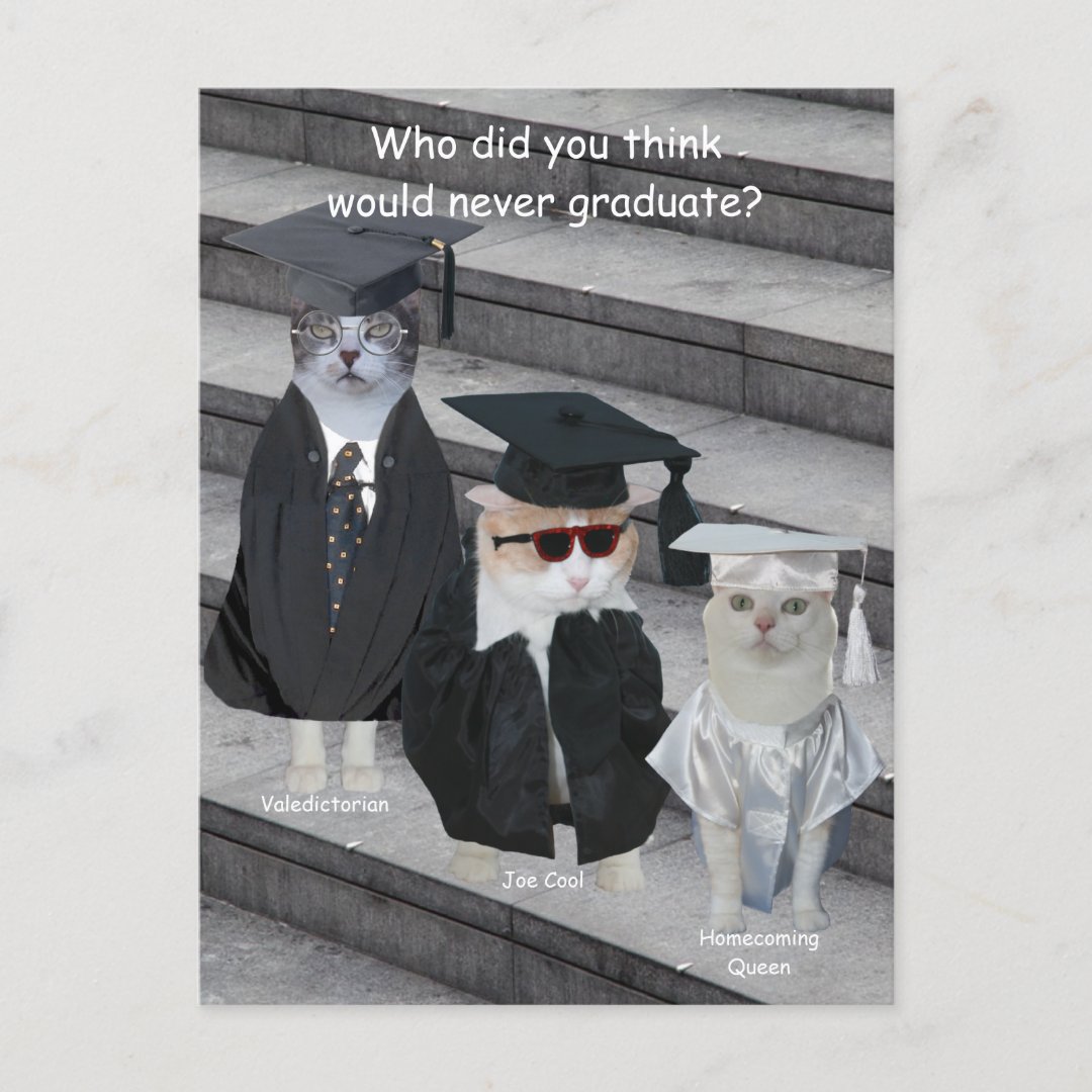 Customizable Funny Cat/Kitty Graduates Announcement Postcard | Zazzle
