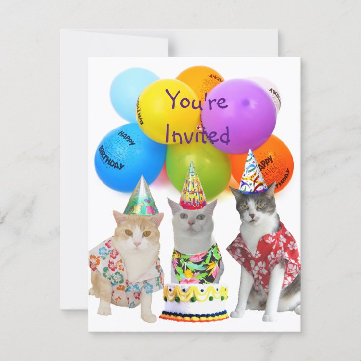 Customizable Funny Cats Birthday Party Invitation | Zazzle