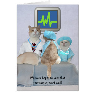 Funny Cat Get Well Cards - Greeting & Photo Cards | Zazzle