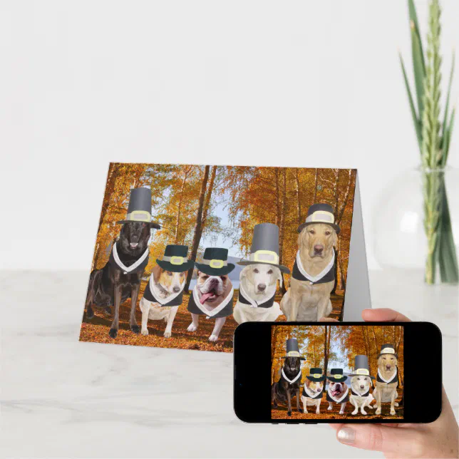 Customizable Funny Dog Pilgrims Thanksgiving Card | Zazzle