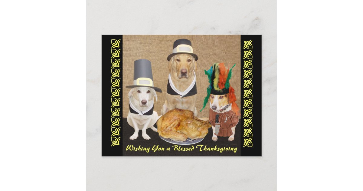 Customizable Funny Dogs Happy Thanksgiving Holiday Postcard | Zazzle