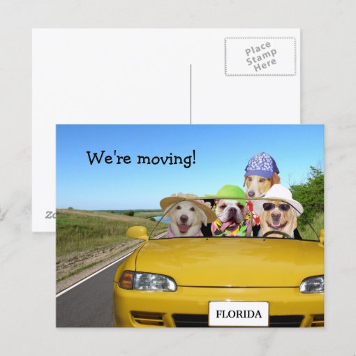 Customizable Funny Dogs We're Moving Announcement Postcard | Zazzle