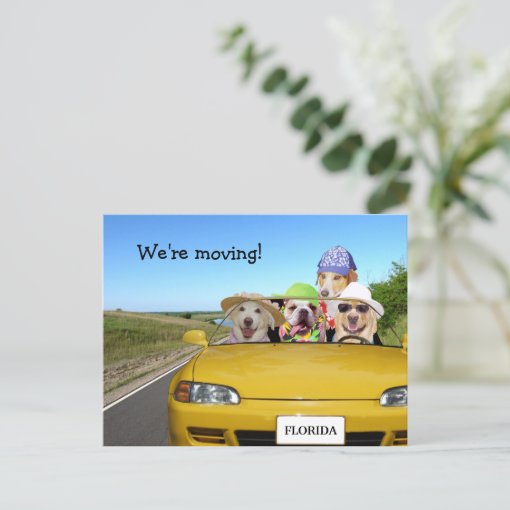 Customizable Funny Dogs We're Moving Announcement Postcard | Zazzle