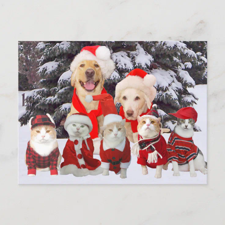 Customizable Funny Pet Christmas Post Card | Zazzle