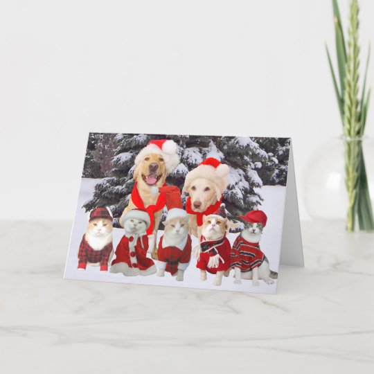Customizable Funny Pets Christmas Card | Zazzle.com