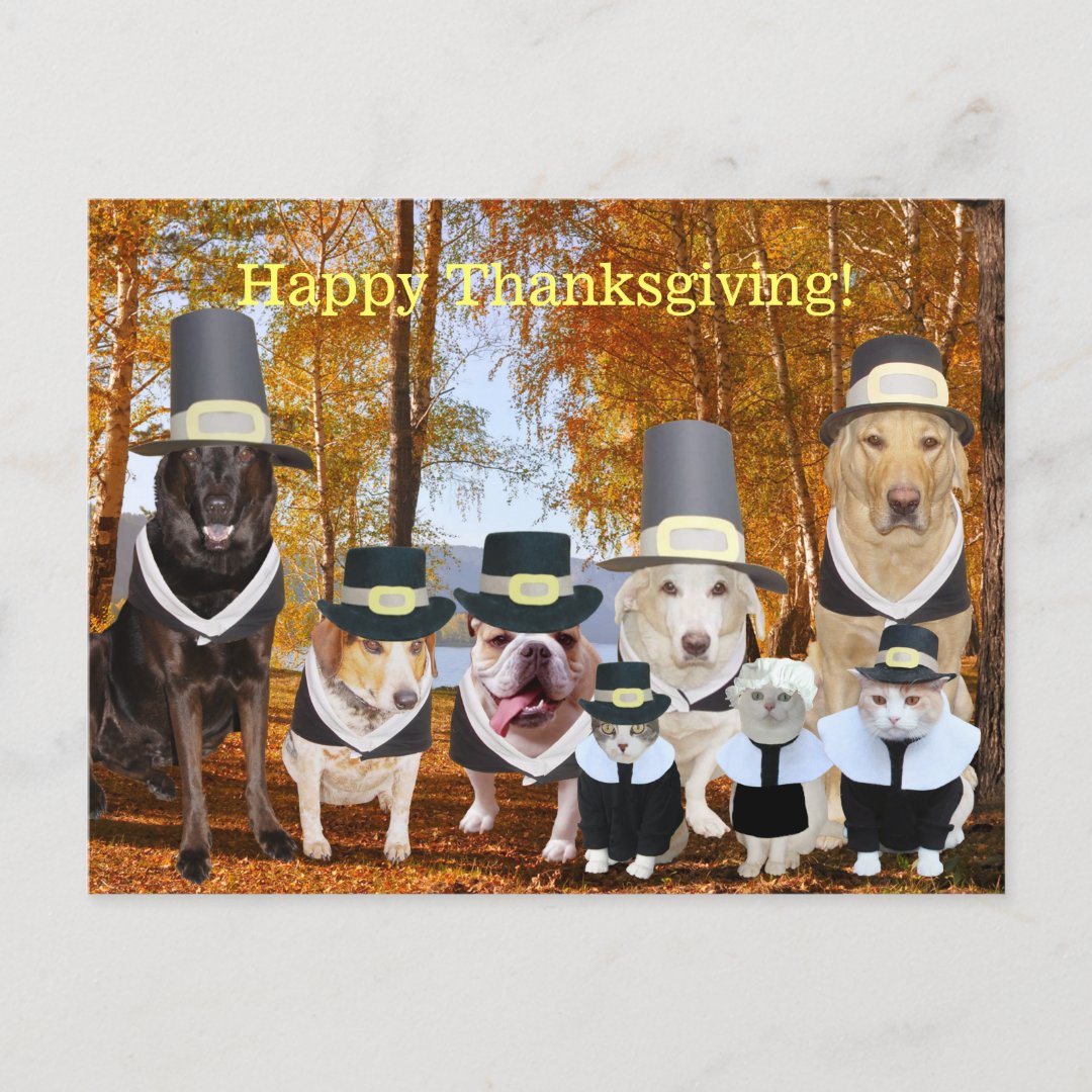 Customizable Funny Pilgrim Dogs Thanksgiving Post Holiday Postcard | Zazzle