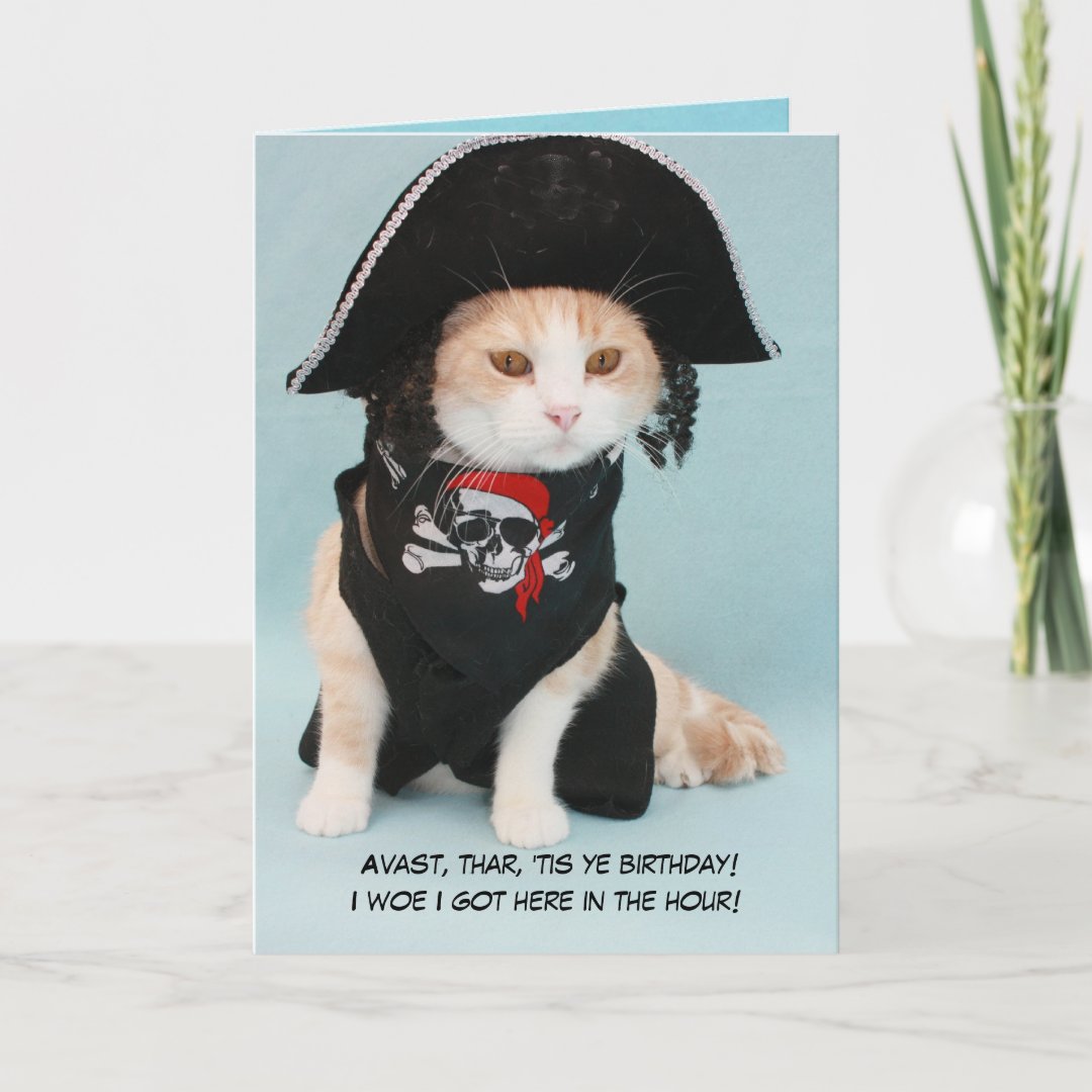 Customizable Funny Pirate Cat Card | Zazzle