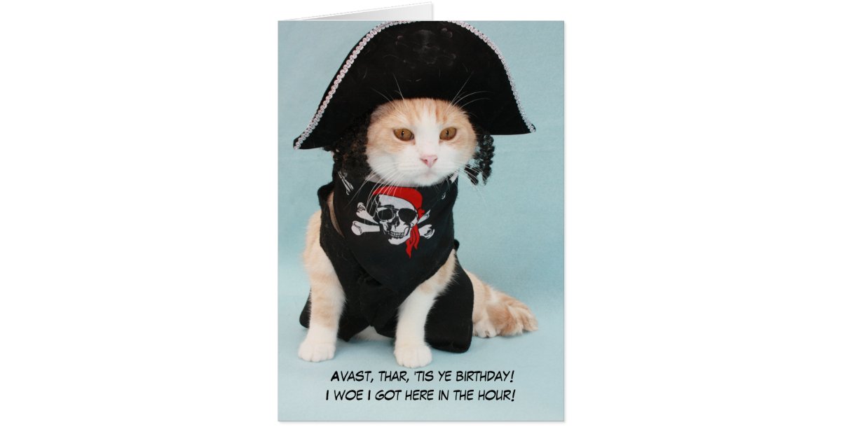Customizable Funny Pirate Cat Card | Zazzle.com