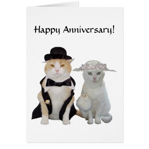 Customizable Funny,Pretty Cats/Kitties Anniversary Card | Zazzle