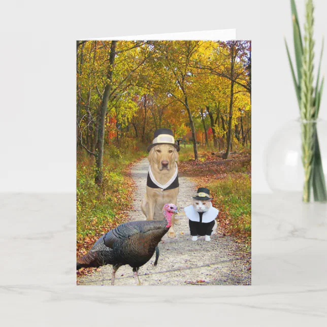 Customizable Funny Thanksgiving Holiday Card | Zazzle