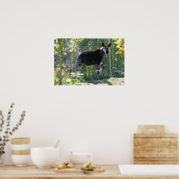 Customizable Okapi Poster | Zazzle