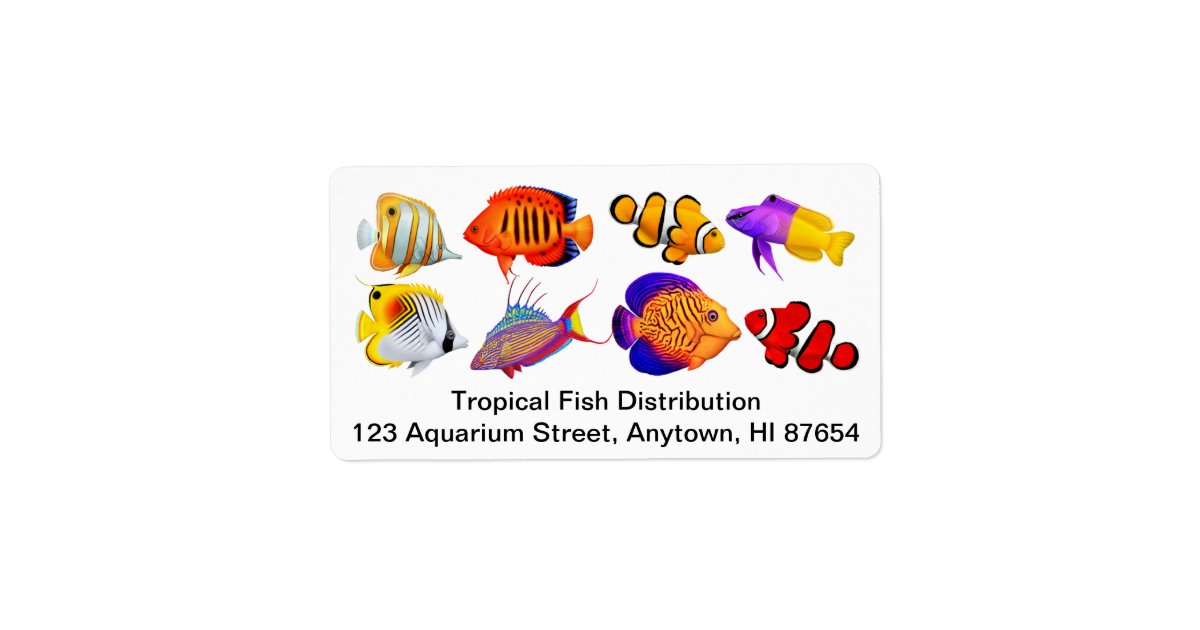 Customizable Saltwater Marine Aquarium Fish Label | Zazzle