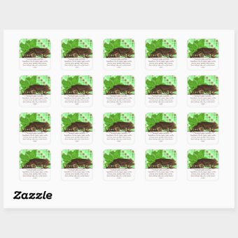 Customizable Square Mint Chocolate Stickers | Zazzle