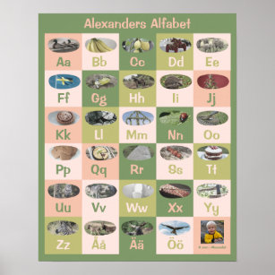 Swedish Alphabet Poster