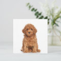 Customize personalize with photo & name note card | Zazzle
