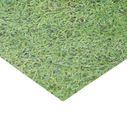 Cut Grass Lawn Tissue Paper | Zazzle