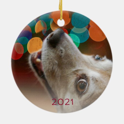 Cute 2 Sided Dog Photo Merry and Bright Ceramic Ornament | Zazzle