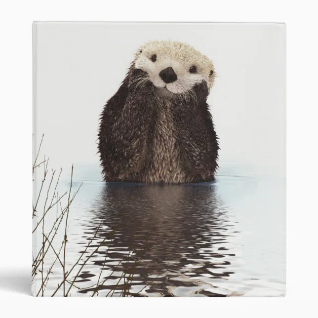 Cute Adorable Fluffy Otter Animal Binder | Zazzle