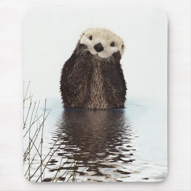 Cute Adorable Fluffy Otter Animal Mouse Pad | Zazzle