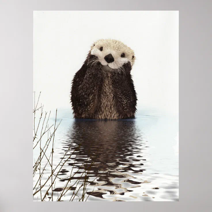 Cute adorable fluffy otter animal poster | Zazzle