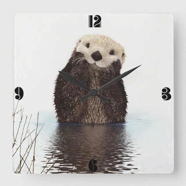 Cute Adorable Fluffy Otter Animal Square Wall Clock | Zazzle
