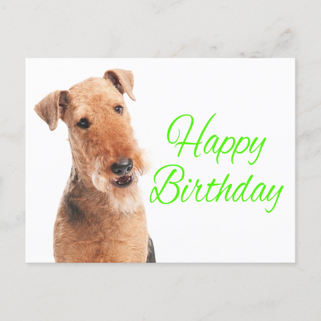 Cute Airedale Terrier Puppy Dog Happy Birthday Postcard | Zazzle