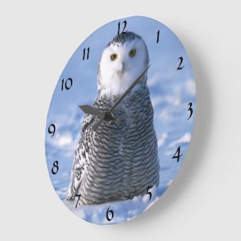 Cute Alaska Arctic Snowy Owl Winter Photo Designed Large Clock | Zazzle