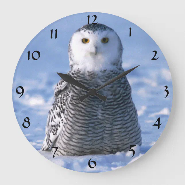 Cute Alaska Arctic Snowy Owl Winter Photo Designed Large Clock | Zazzle
