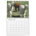 Cute Alpaca Calendar Fully Customizable | Zazzle
