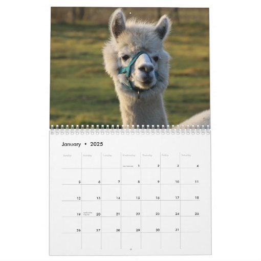 Cute Alpaca Calendar Fully Customizable | Zazzle
