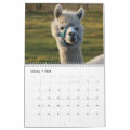 Cute Alpaca Calendar Fully Customizable | Zazzle