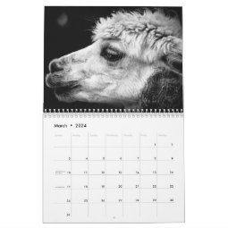 Cute Alpaca Calendar Fully Customizable | Zazzle