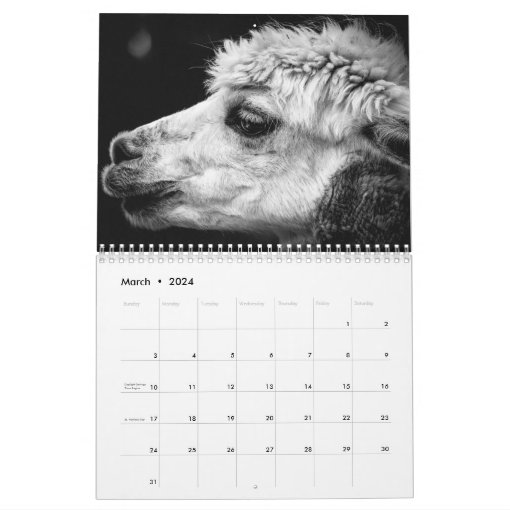 Cute Alpaca Calendar Fully Customizable | Zazzle