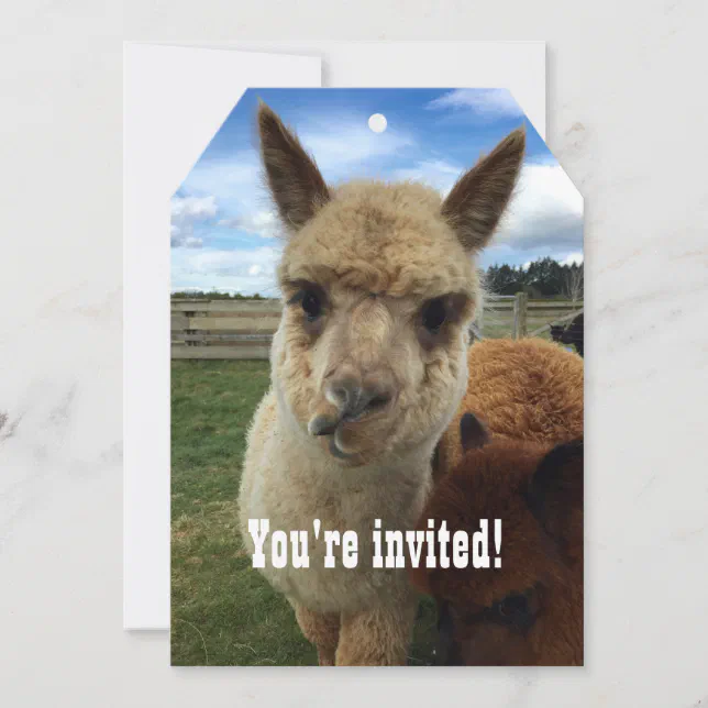 Cute Alpaca party invitation | Zazzle