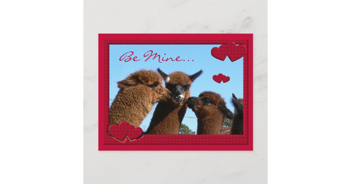 Cute Alpaca Valentines Day Postcard | Zazzle