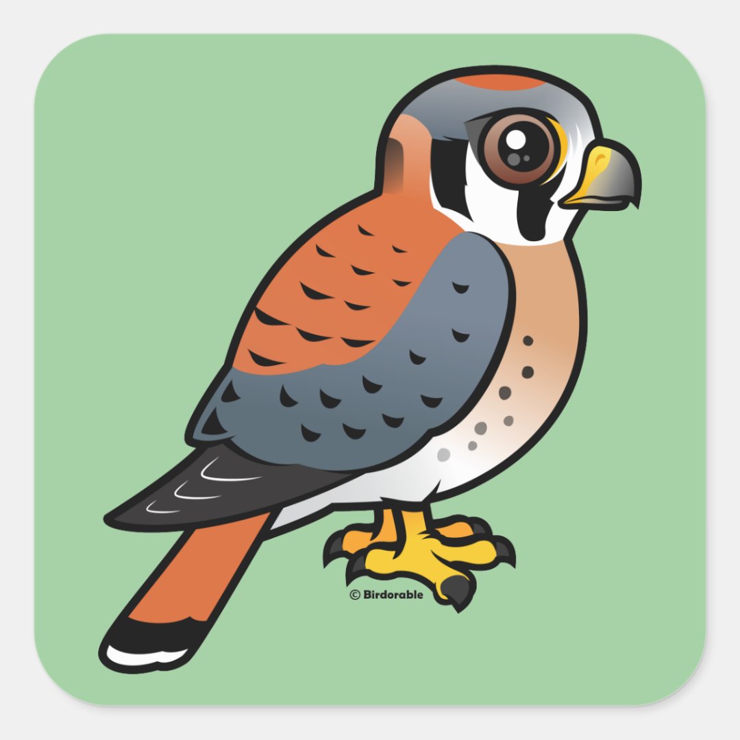 Cute American Kestrel Square Sticker | Zazzle